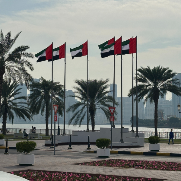 The Flags and Why they matter – Star Cat